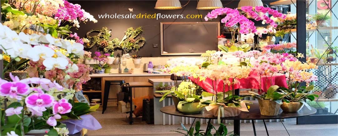 Discovering the Perfect Blend of Beauty and Permanence — Exploring the ...