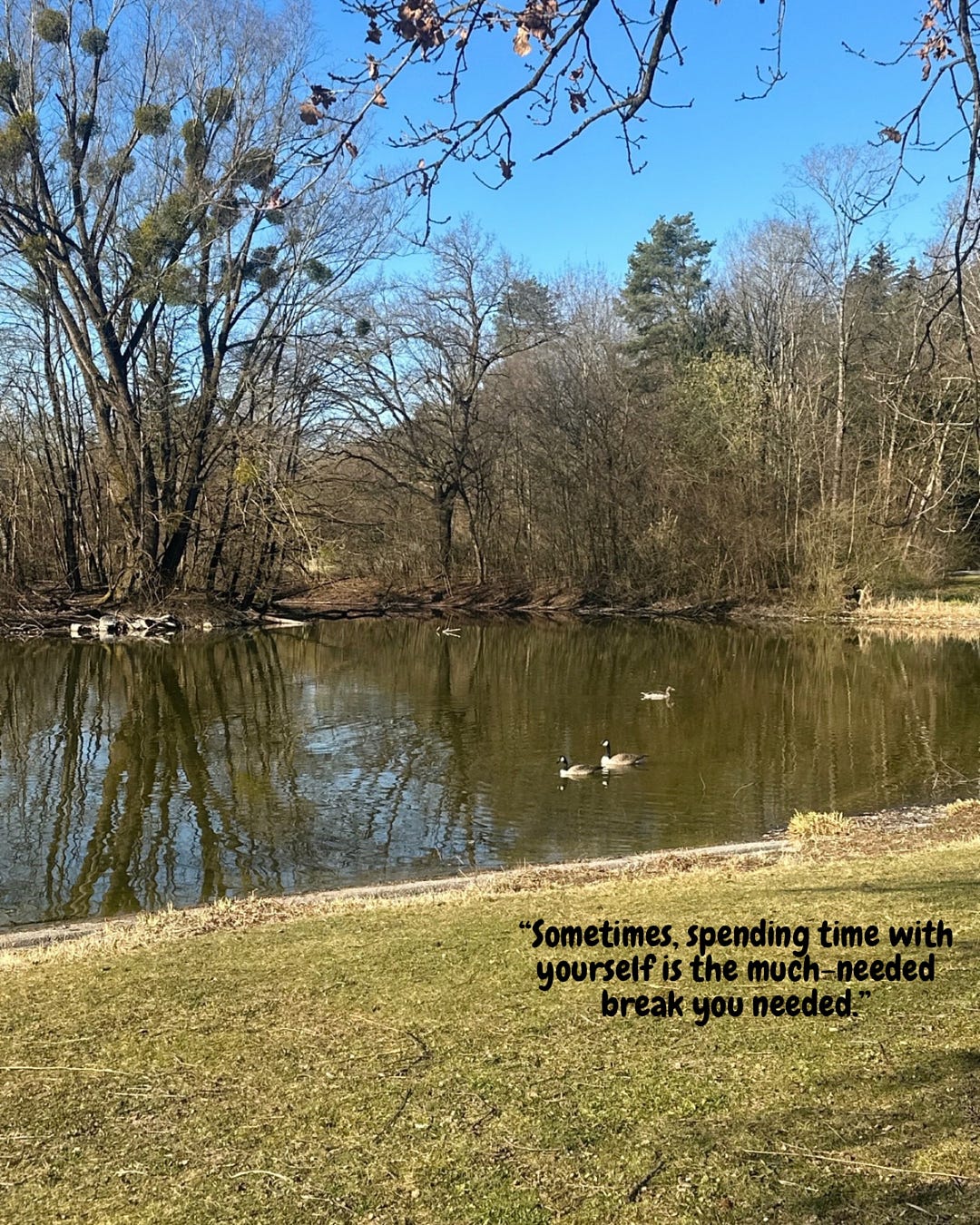 My Mouse moment. Is a mouse moment really that bad? or… | by Maryjoy ...