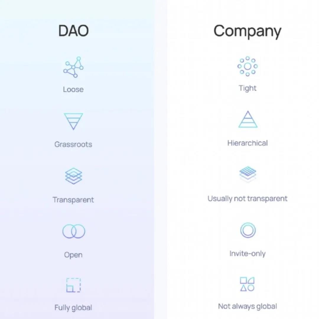The new trend of 2022, what is DAO? | by DAOPORT Official | Medium
