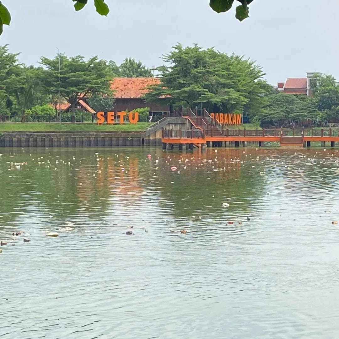 Trash and Fish in Setu Babakan Lake | by Ade Fathul Mufid | Apr, 2024 ...