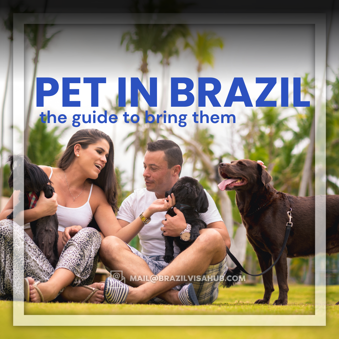 Pet Transport to Brazil: A step-by-step guide - Brazil Visa Hub - Medium