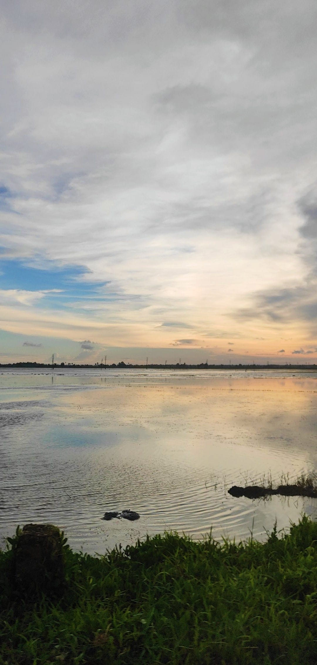 Untitled | by Anjana Dev | Medium