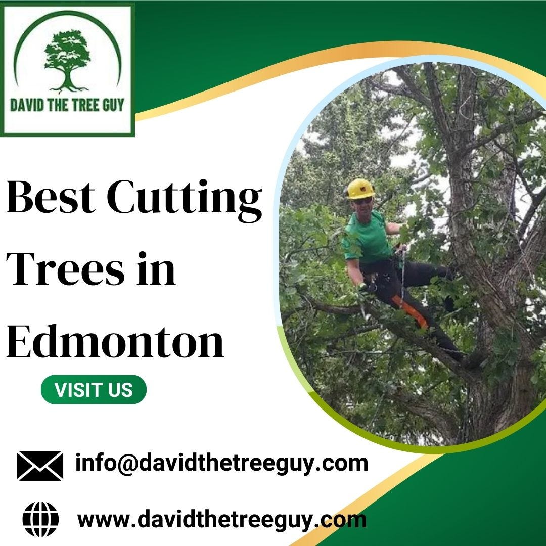 Best Cutting Trees in Edmonton - David The Tree Guy - Medium
