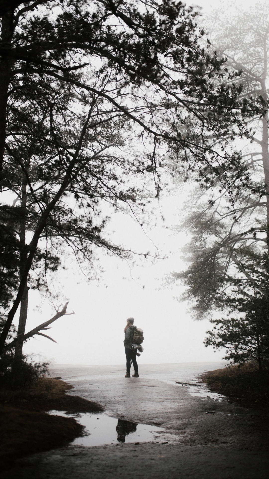 The Art of Getting Lost on Purpose | by Tine Lim | Nov, 2024 | Medium