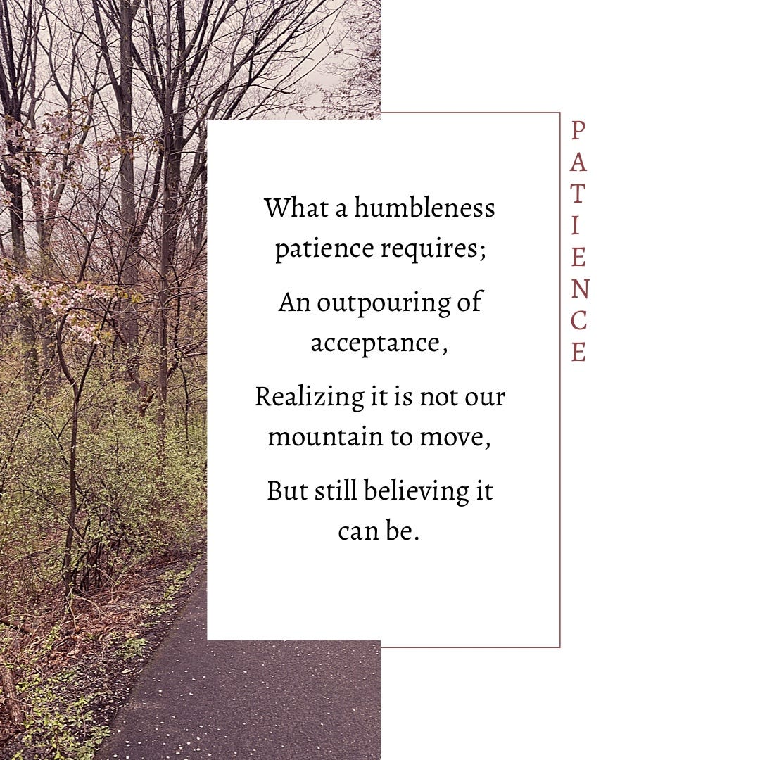 Poetry: Patience - Linnea Orians - Medium