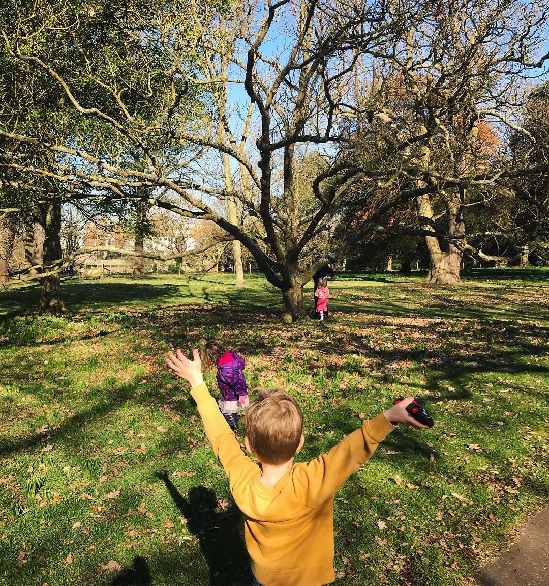Weeknote 08, 18th Feb 2019. What I’m doing | by Sophia Parker | Medium