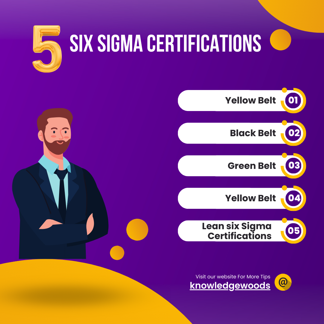 Achieving Excellence: A Comprehensive Guide on How to be Six Sigma ...