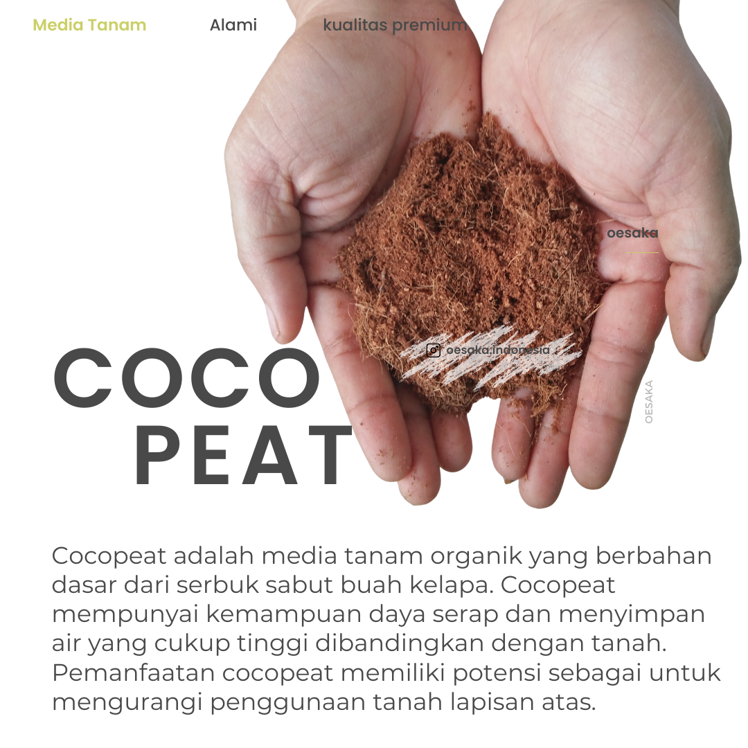 INTRODUCE COCOPEAT. WHAT IS COCOPEAT?? Cocopeat is an… | by oesaka ...