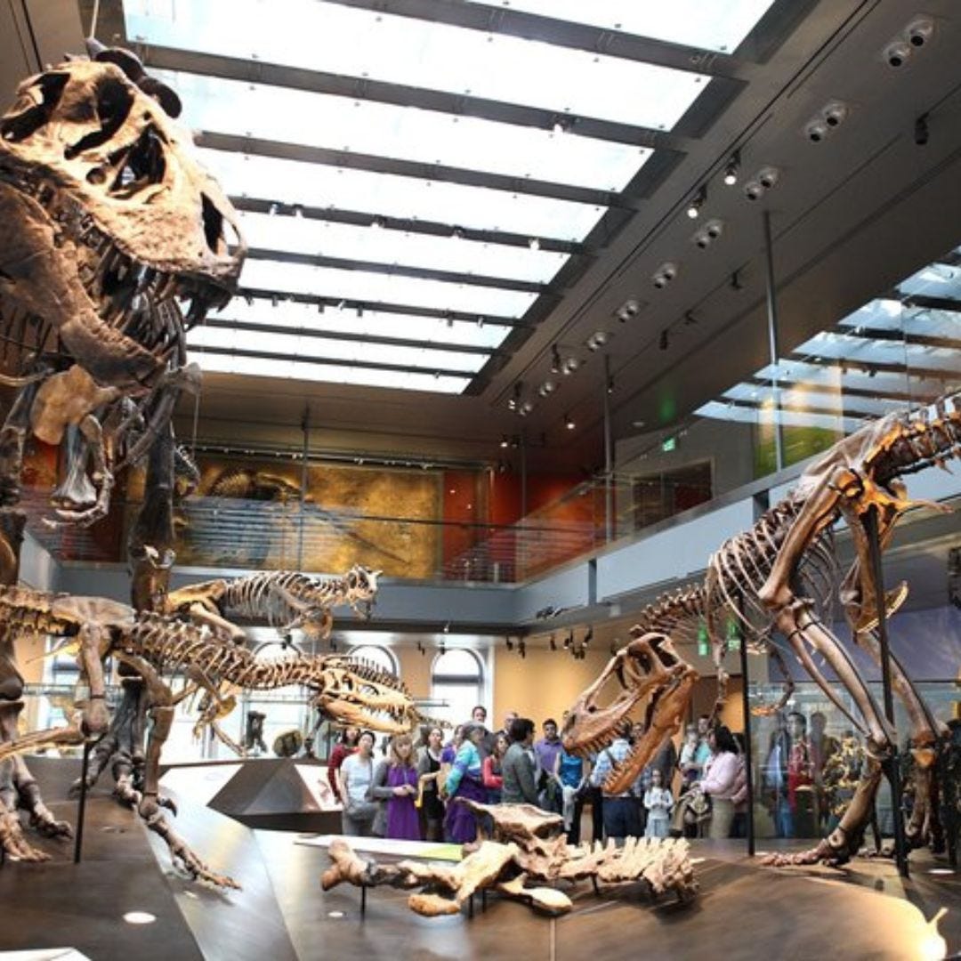 Exploring the Ages: The Natural History Museum of Los Angeles County ...
