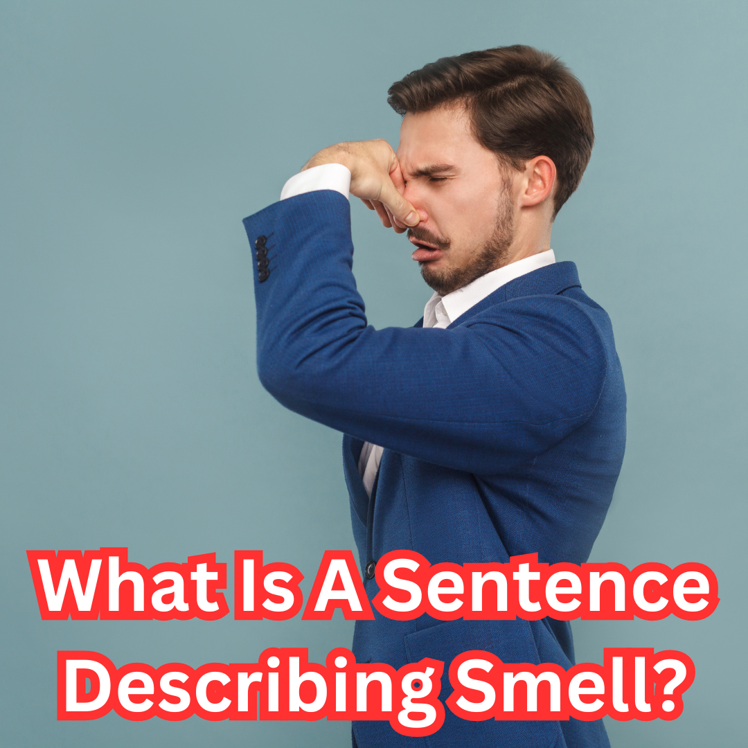 What Is A Sentence Describing Smell? | by Best Fragrance Body Spray | Jun, 2024 | Medium
