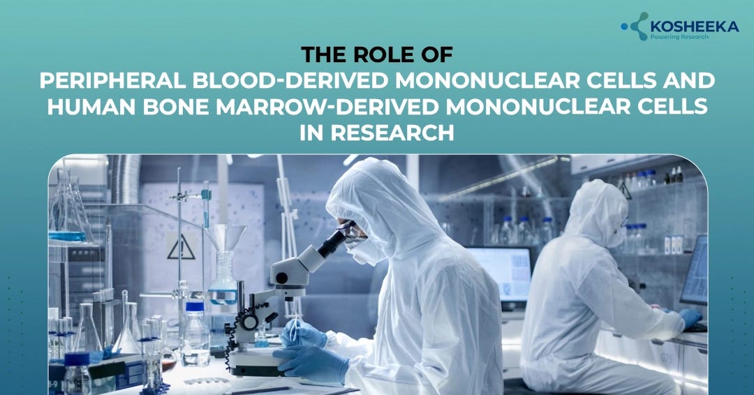 The Role of Peripheral Blood-Derived Mononuclear Cells and Human Bone ...