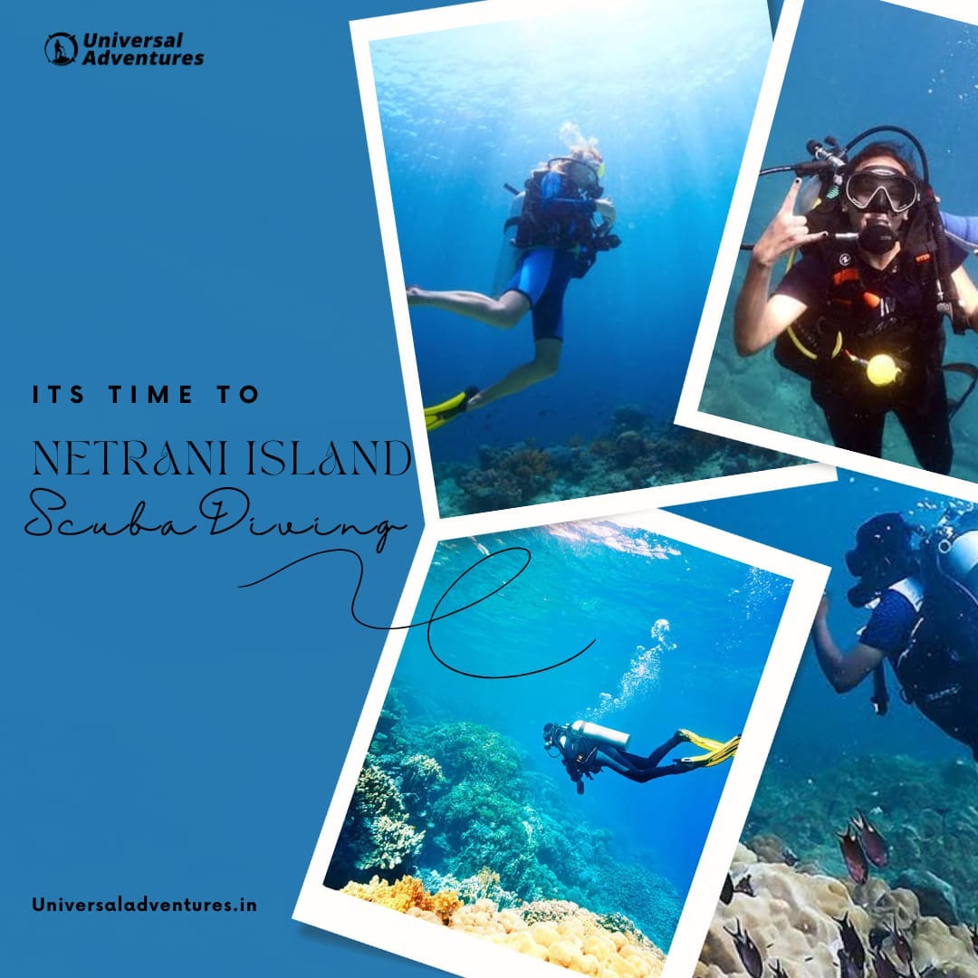 Mask, Fins, and Adventure: Snorkeling vs. Scuba Diving at Netrani ...