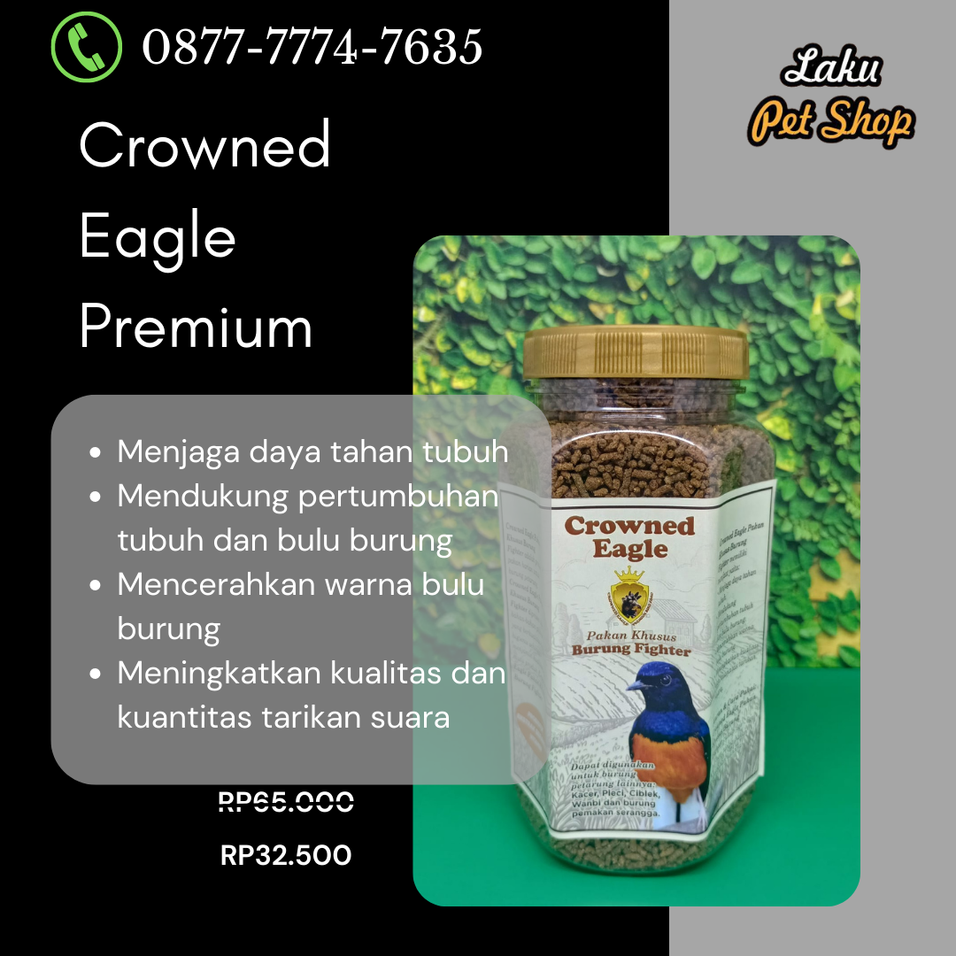Jual Voer Burung Murai Pakan Crowned Eagle - MAU PAKAN BURUNG MURAI ...