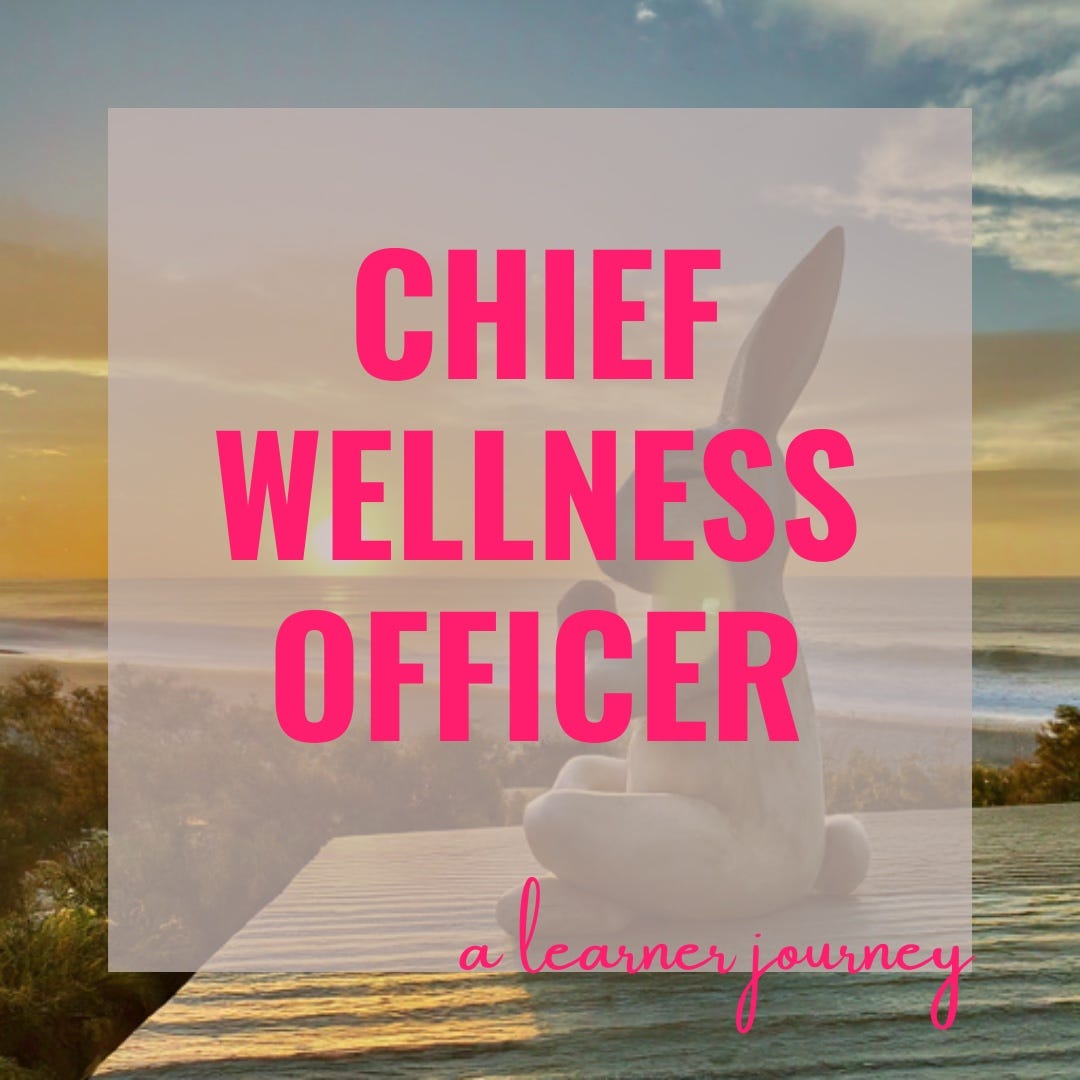 Your Well-being Matters: Introducing the Chief Wellness Officer (CWO ...