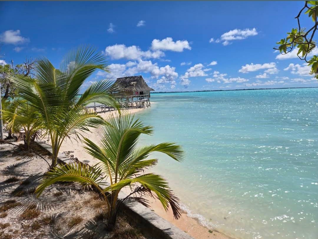 Our Island Home by the Sea. This is freedom — and it means… | by Dion ...