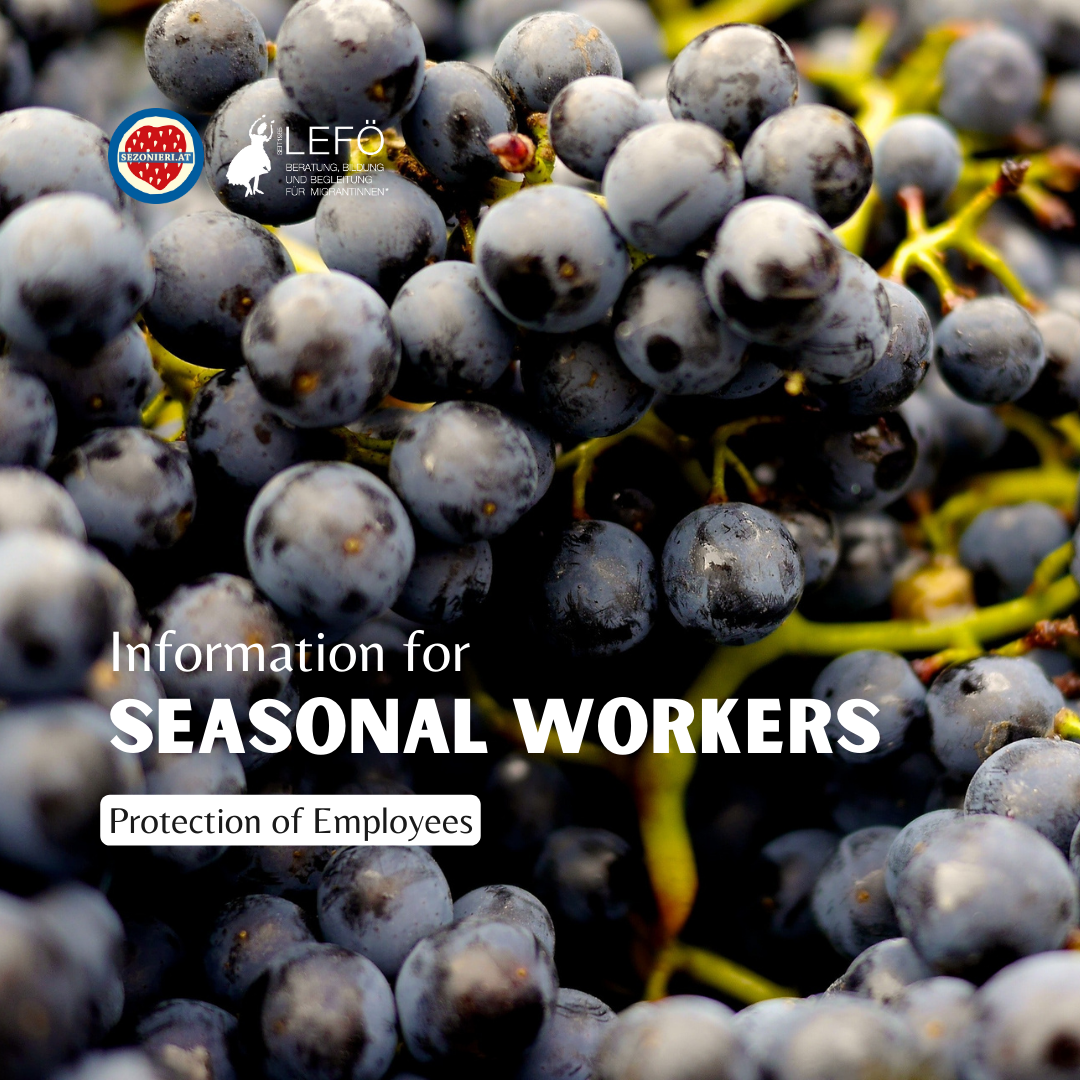 Seasonal Workers | Protection of Employees - LEFÖ-IBF - Medium