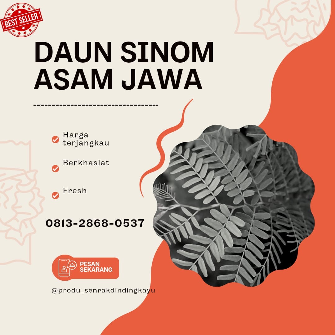 Pusat Budidaya Herbal Daun Sinom Asam Jawa Segar 250 Gram Obat Herbal ...