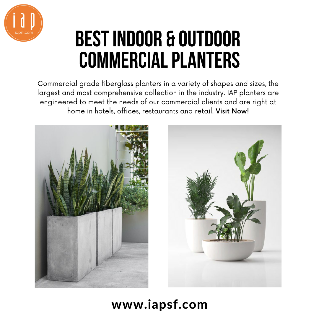 Best Indoor & Outdoor Commercial Planters | IAP - IAPSF - Medium