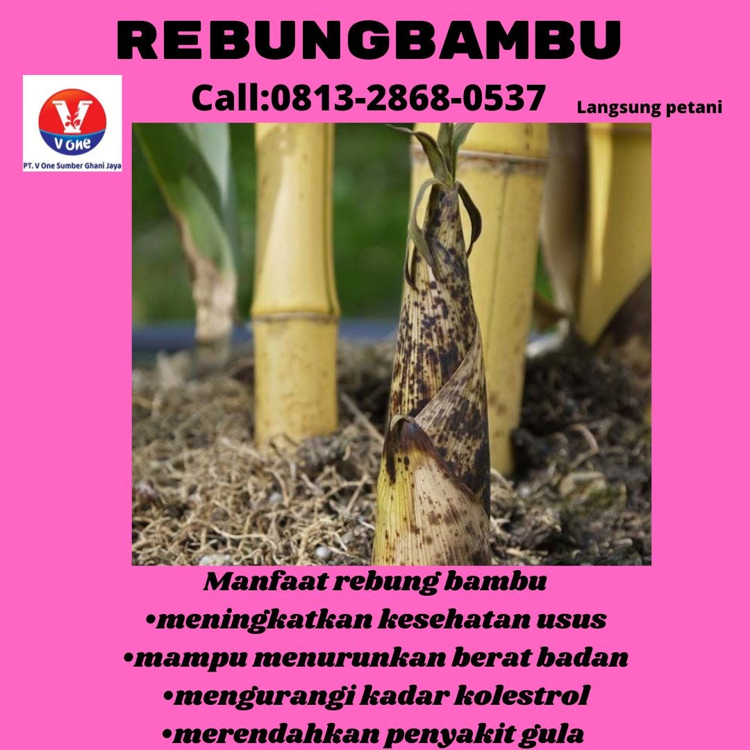 Pusat Budidaya Herbal Rebung Bambu Betung Tambak Bayumas ...