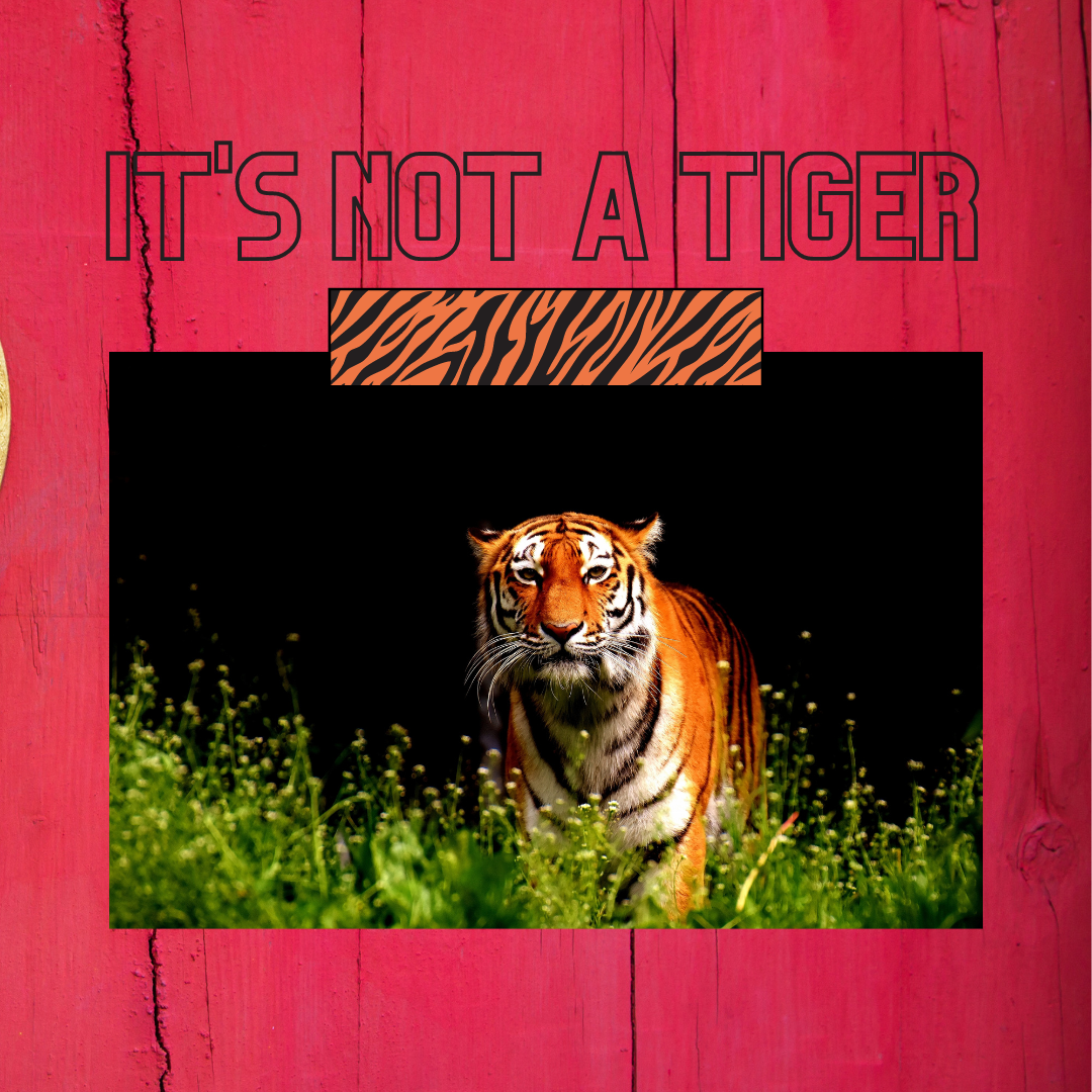 Polyvagal Yum: It’s Not a Tiger, Baby | The Shortform