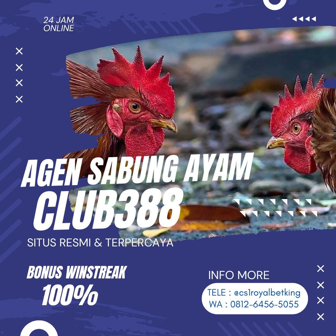 AGEN SABUNG AYAM CLUB388 - CS1ROYALBETKING👑 - Medium