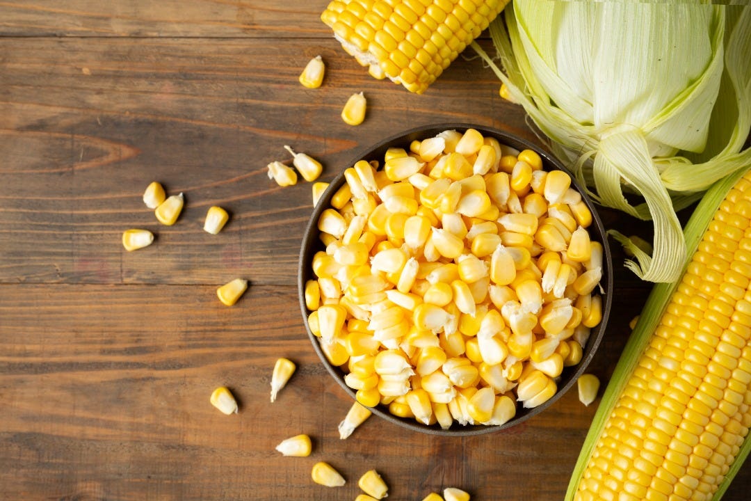 Harvest Spotlight — Maize, Queen of Grains | by AFEX | ComX Stories ...