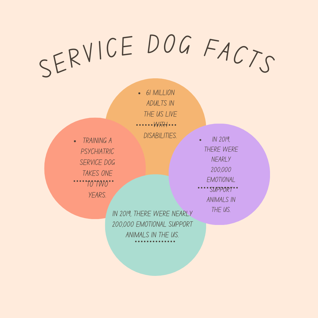 Can Service Dogs Come in Any Size? | by Hayden Witham | Medium