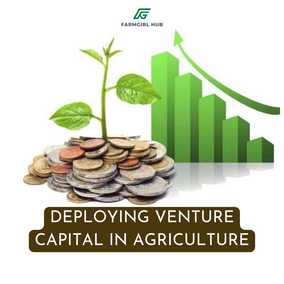 DEPLOYING VENTURE CAPITAL IN AGRICULTURE. | by FarmGirl Hub | Medium
