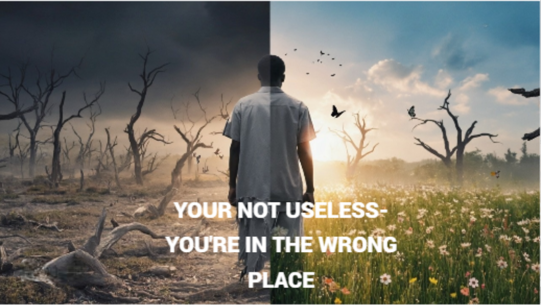 You’re Not Useless — You’re in the Wrong Place | by Zubair Ahmad ...