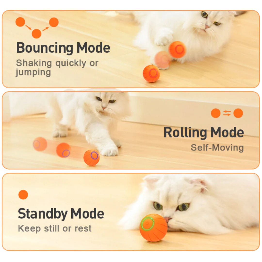 The Future of Feline Fun: The USB Charging Smart Ball Revolution | by ...