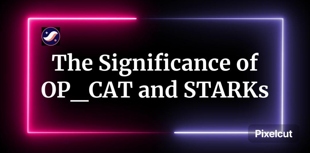 Significance of OP_CAT and STARKs | by 0xredman | Aug, 2024 | Medium