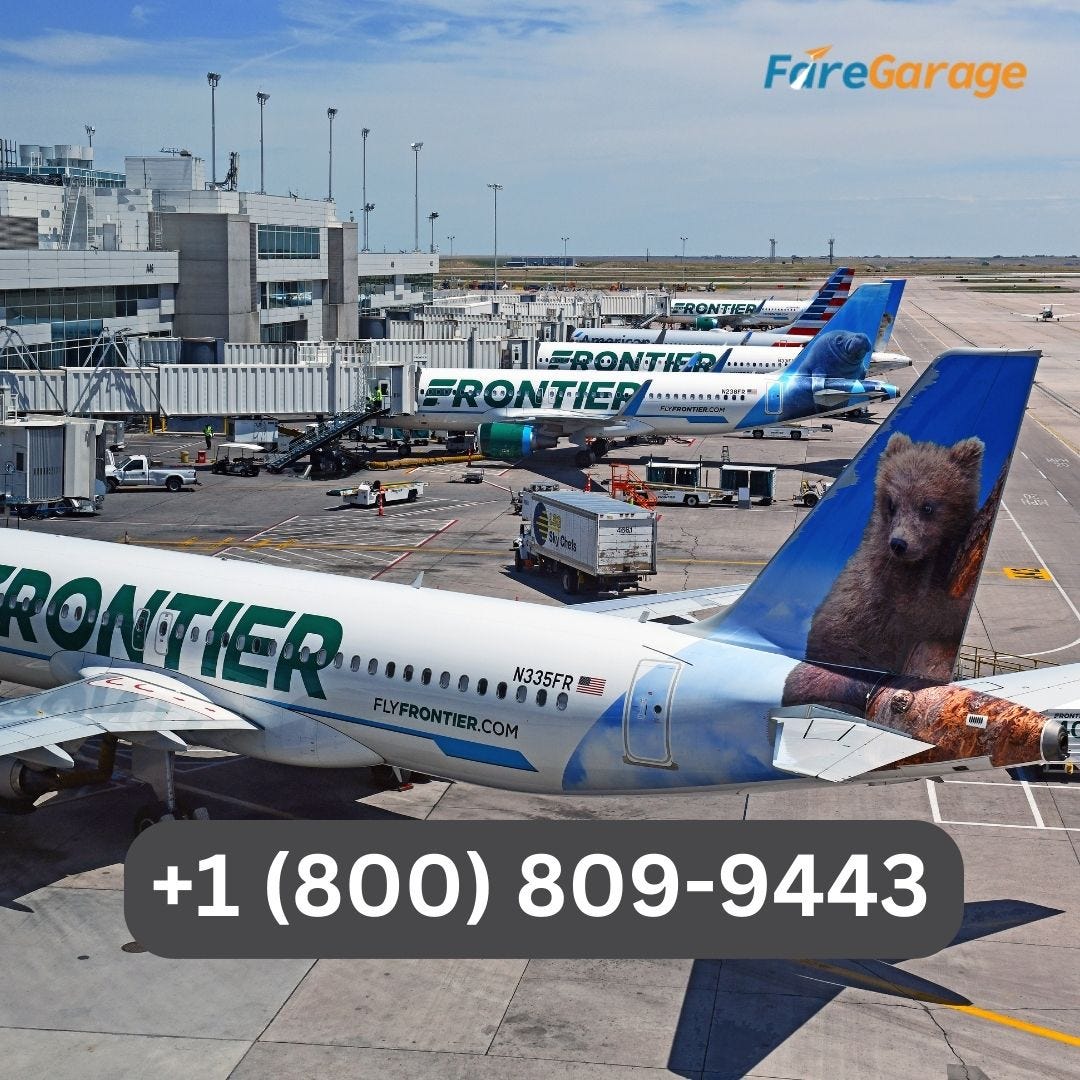 Tips for Finding Cheap Flights to Denver | by Faregarage | Medium
