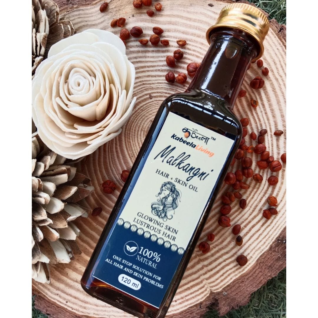 Nature’s Secret Weapon: Harnessing the Power of Malkangni Seed Oil | by ...