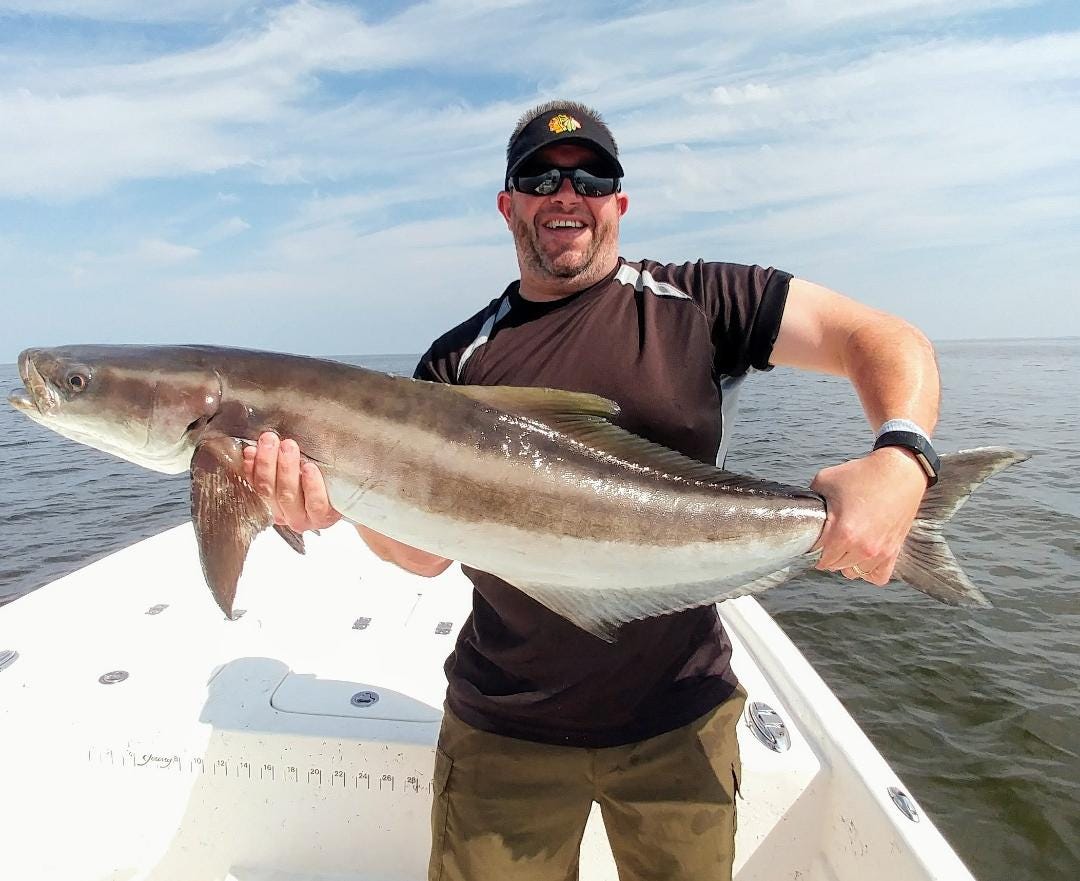 Crystal River fishing - Crystalriver Fishing - Medium