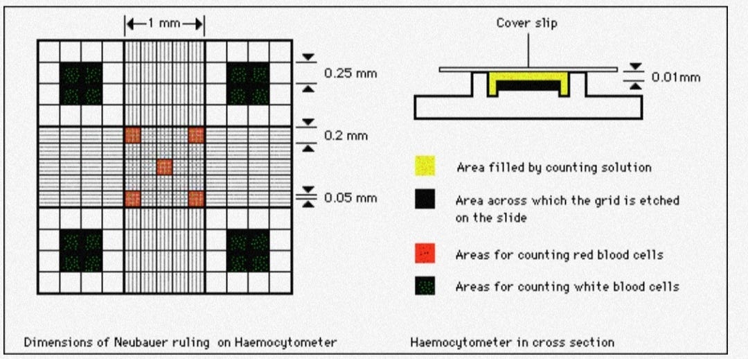 DETERMINATION OF TOTAL RED BLOOD CELL COUNT (TRBC) The number of ...
