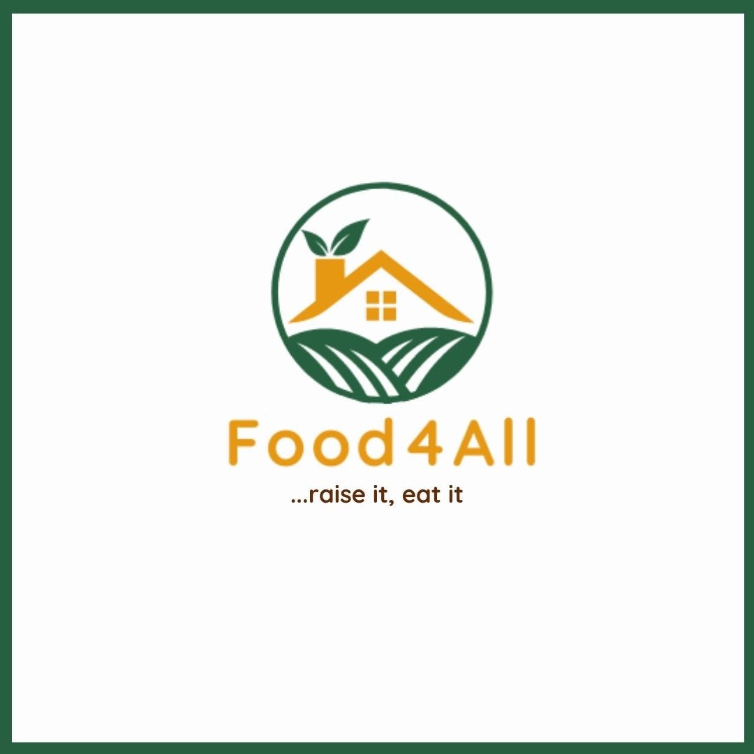 Food4All: Our 2022 Story. The beginning | by Food4All | Medium