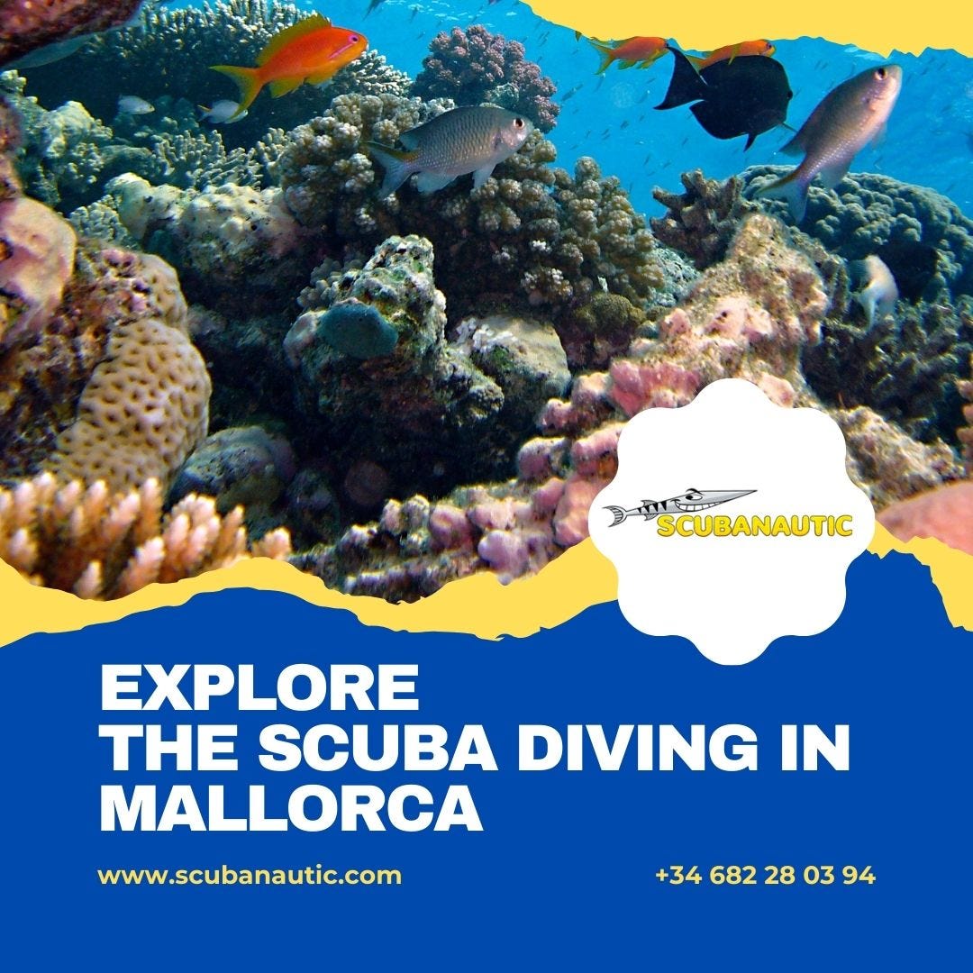 Dive Deeper with Unmatched Scuba Diving Mallorca Adventures - Scubanautic Mallorca - Medium