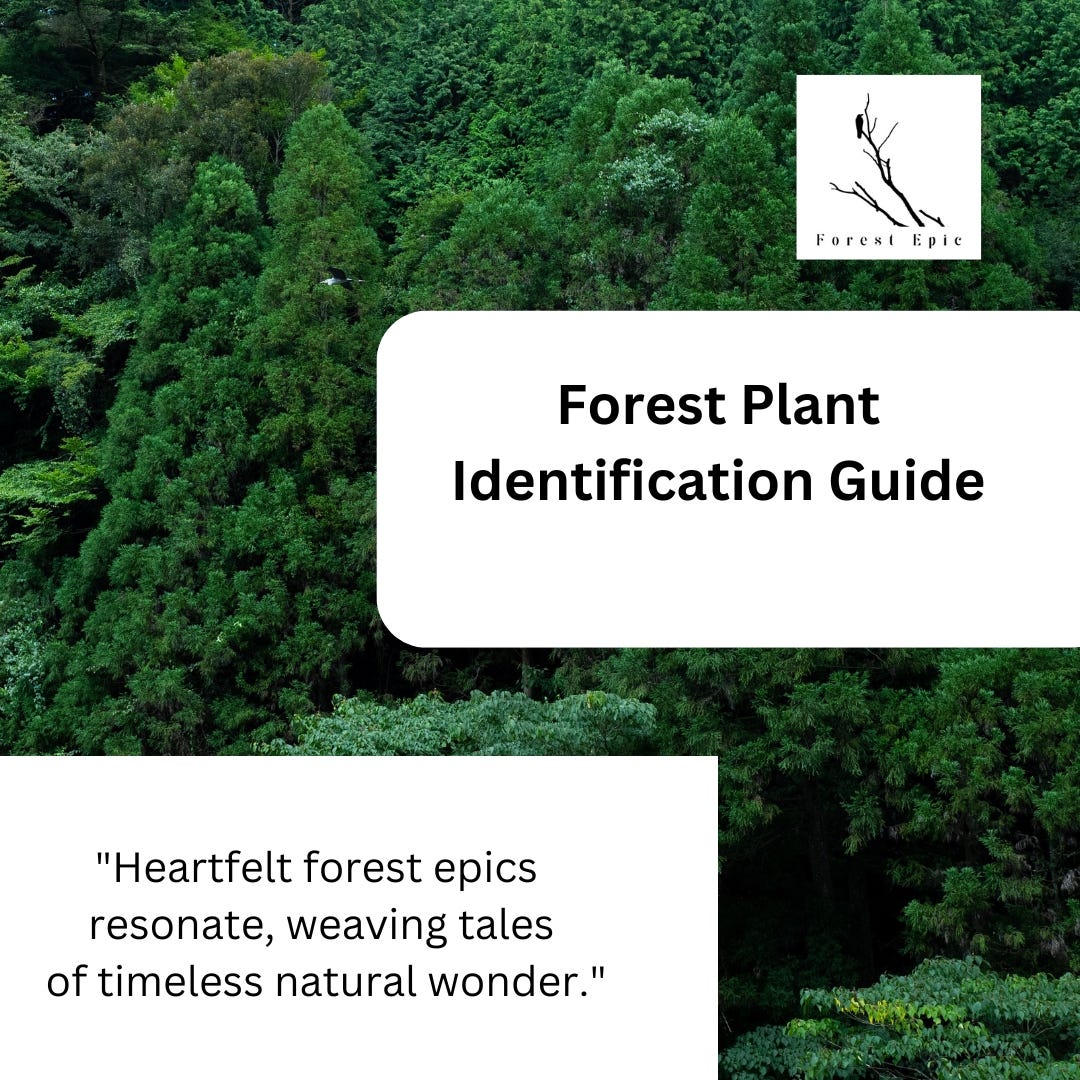 Forest plant identification guide - William S. - Medium
