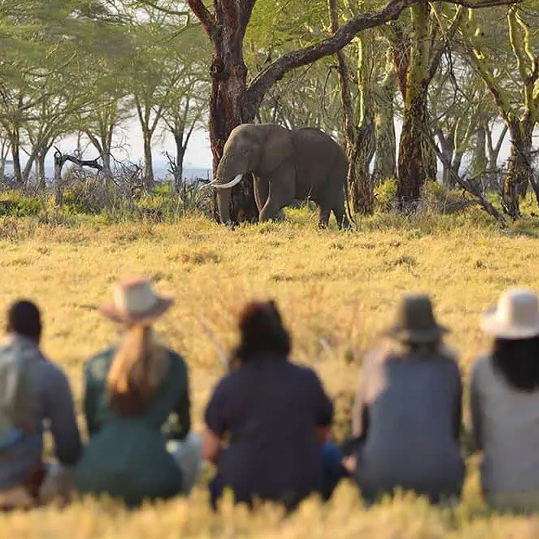 Wildlife Conservation Club: Inspiring Change for a Sustainable Future ...