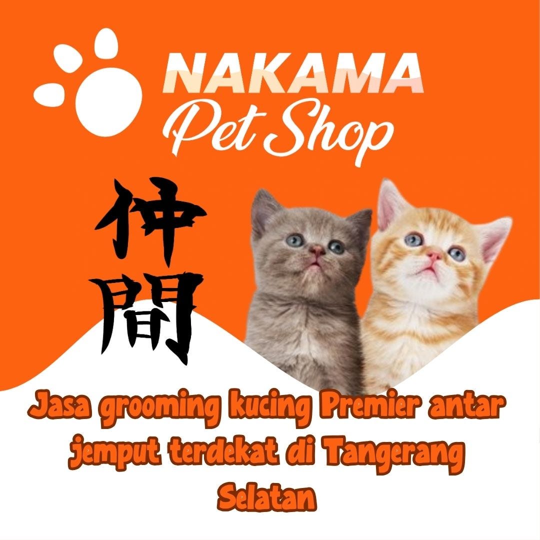 0819–1988–9899 (HALUS GLOWING), Tempat grooming kucing home service ...