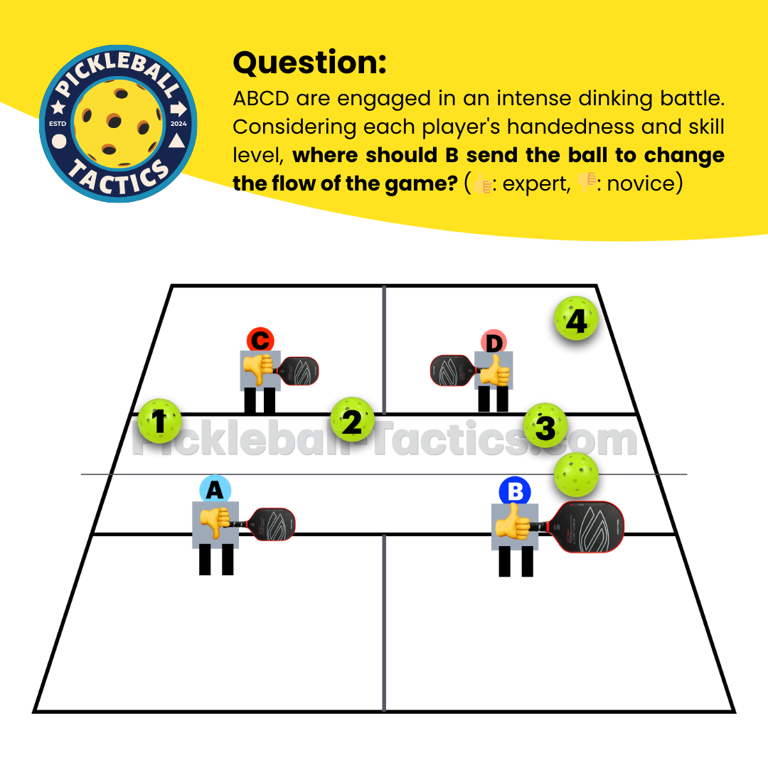 Mastering the Dink Battle: Strategic Insights for Pickleball Players ...