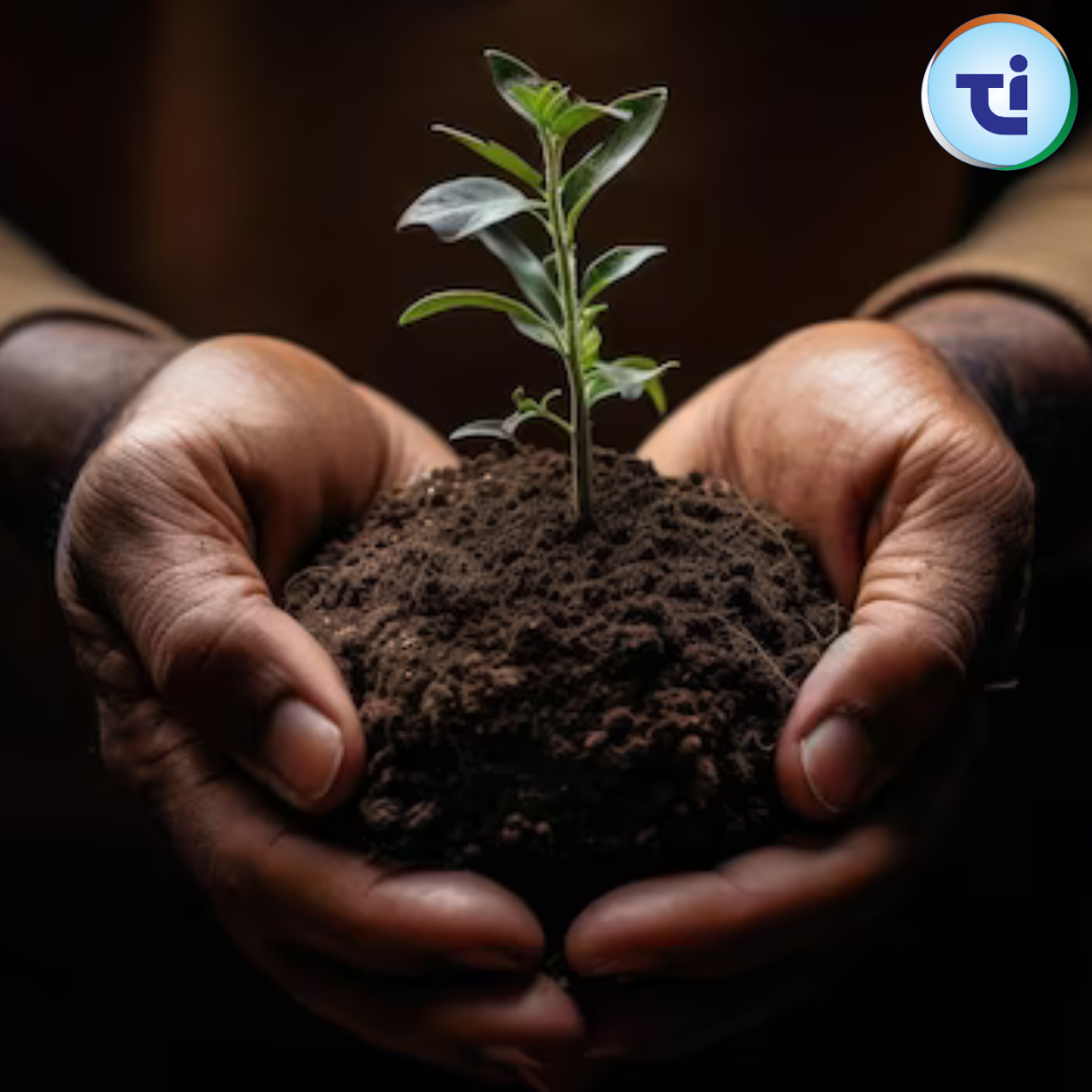 Importance Of Black Soil. Introduction | by the united indian | Medium