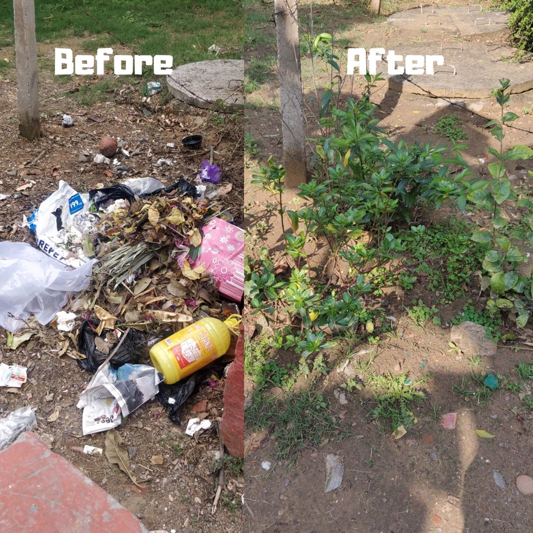 How I cleaned an unauthorised garbage dump | by Abha Pandey ...