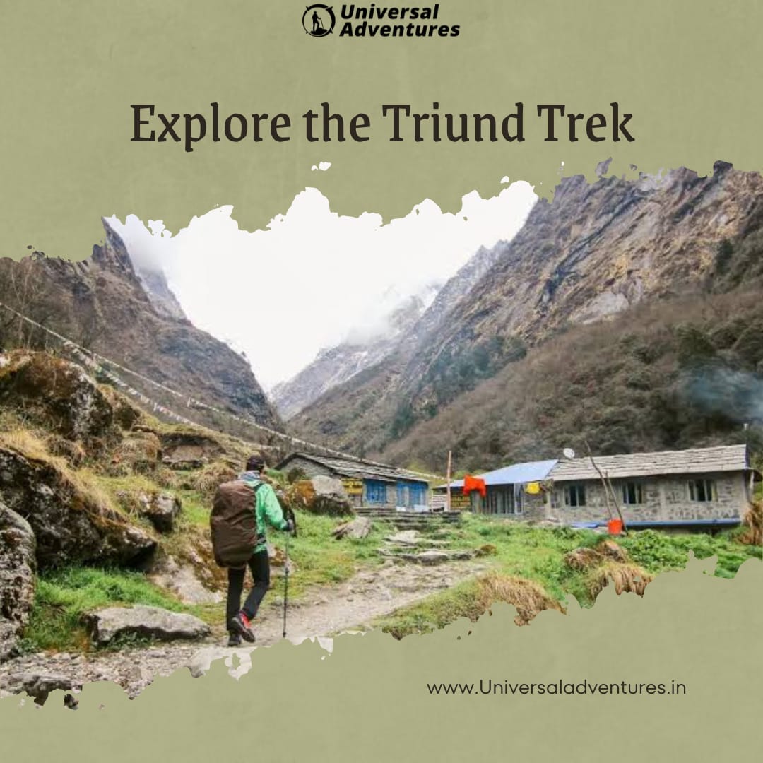 How Adventurous is the Journey on the Triund Trek? | by Alok Roy | Apr ...