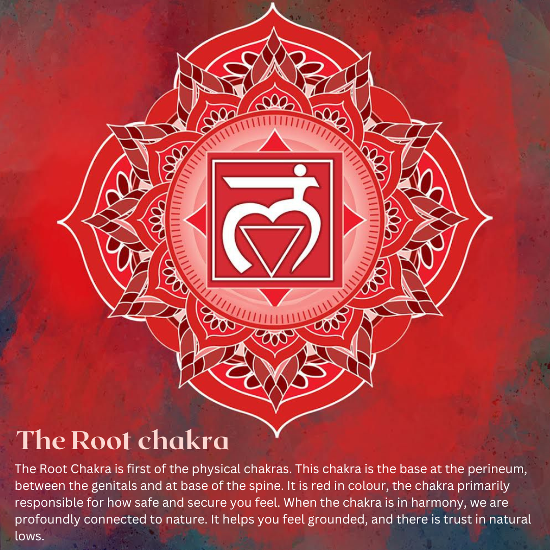 The Root Chakra - Reiki School India - Medium