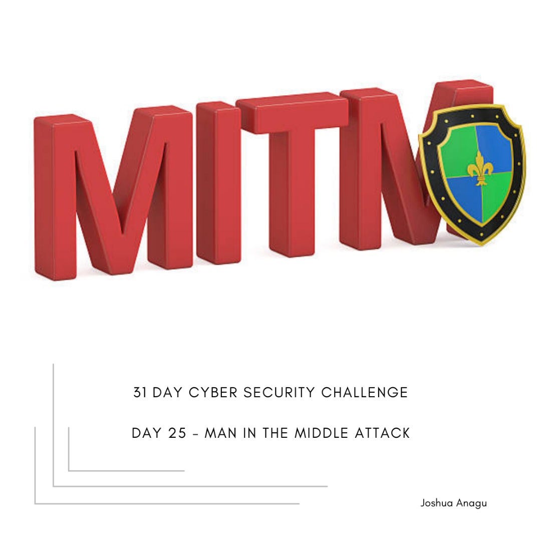 Day 25 of 31 Day Cyber Security Challenge | by Joshua Anagu | Jun, 2024 ...