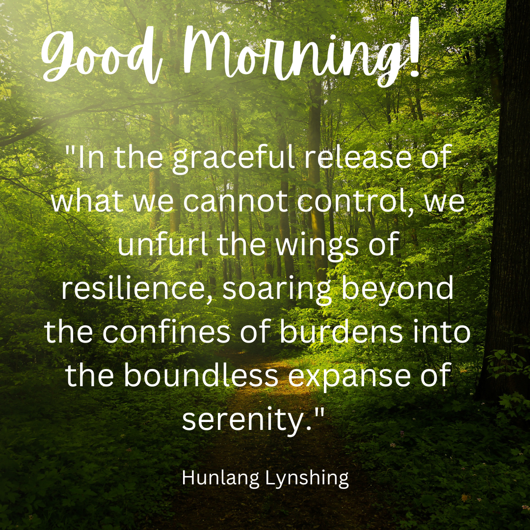 Embracing Liberation: The Art of Letting Go and Soaring Beyond Control ...