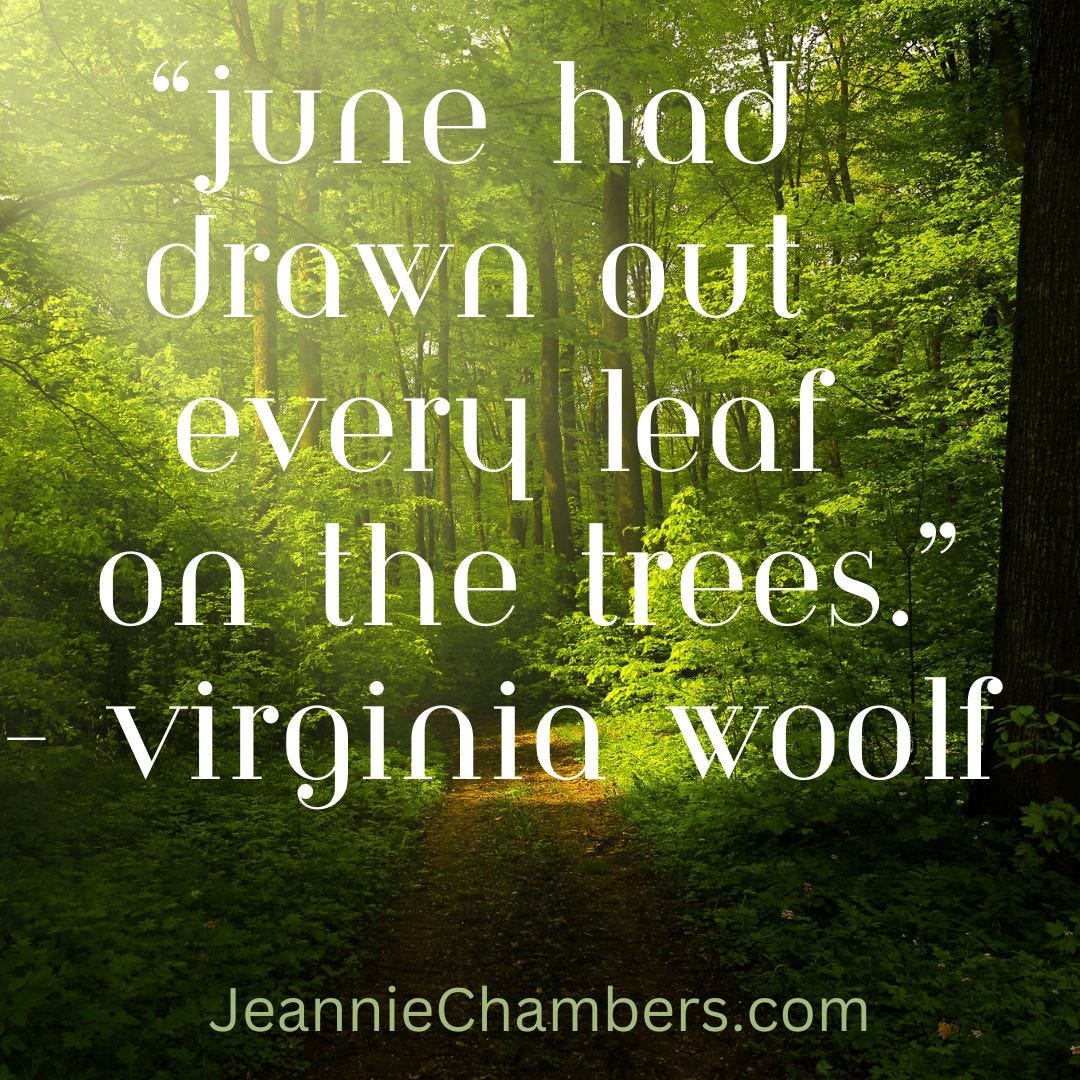A nod to Virginia Woolf | Medium