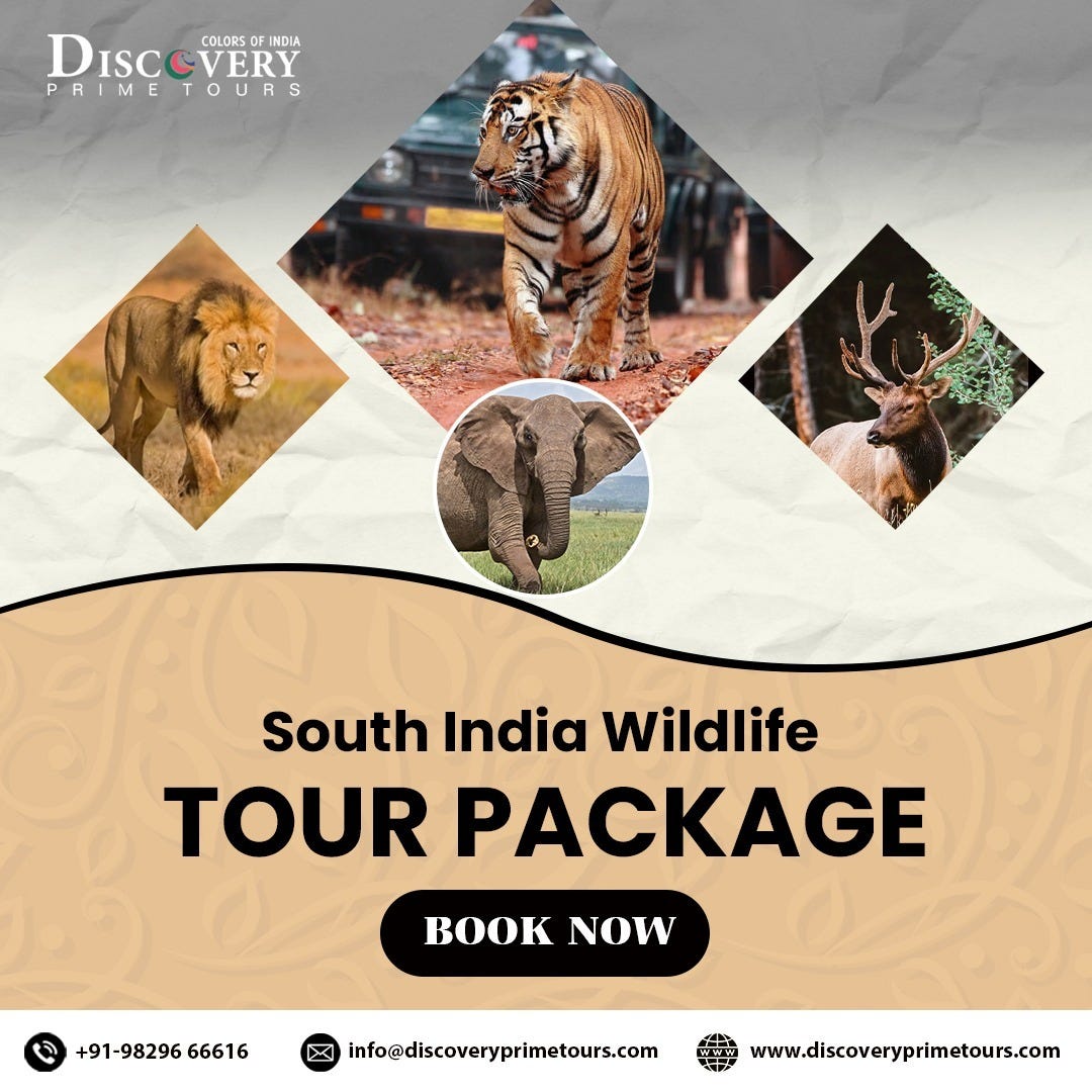 Discovering Excellence: India’s Best Tour and Travel Company | by ...