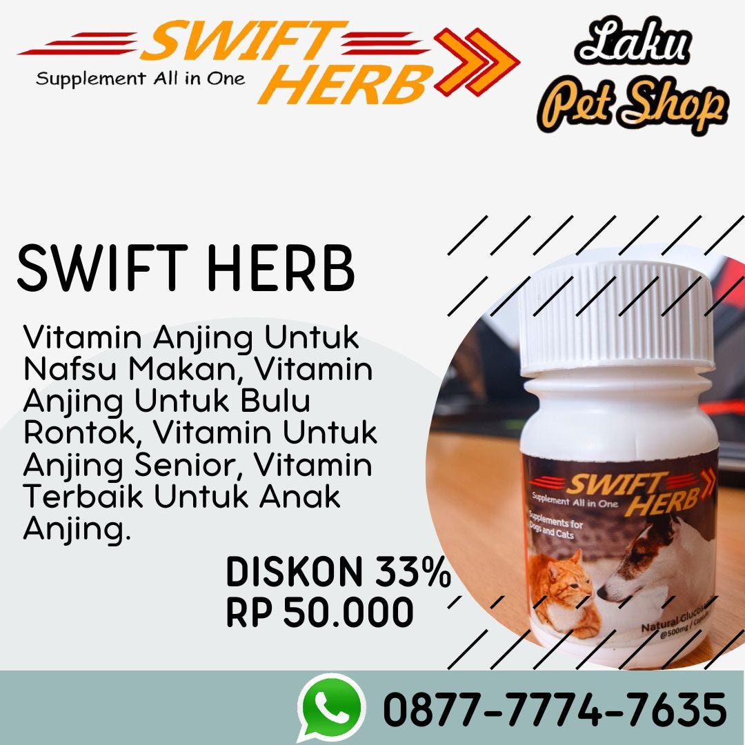 Kucing Lemas Tidak Mau Makan, Kenali Penyebab serta Cara Mengatasi yang ...
